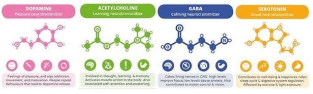 AFL / Aussie Rules Football Training: INTRODUCTION TO NEUROTYPING
