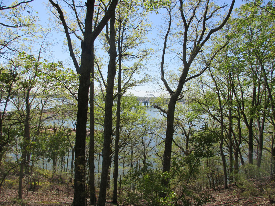 THE KENTUCKY FILES: The Vampire Hotel