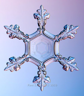 Heraldry of Life: ART with REAL SNOWFLAKES
