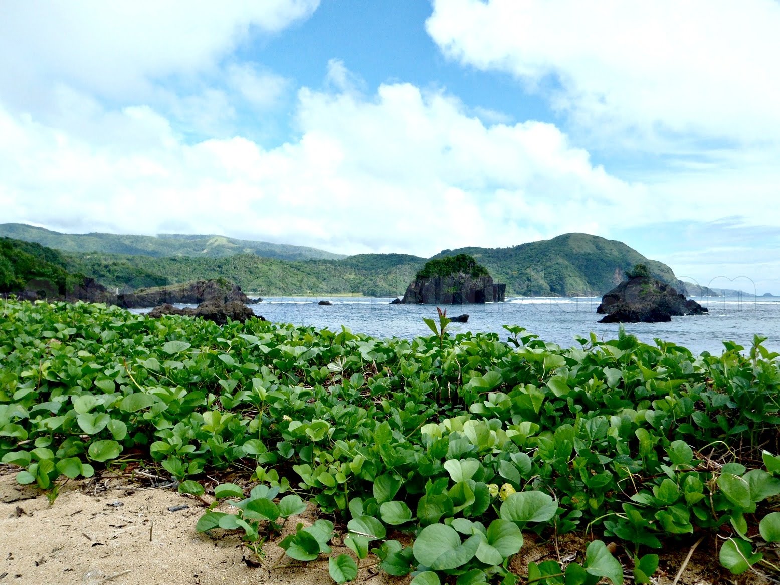Catanduanes Tourist Spots - Puraran Beach, the Surfing Capital of ...