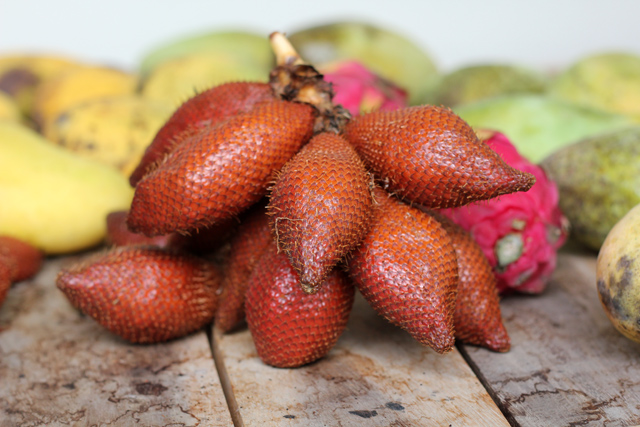 Fruit : Salak (Snake Skin Fruit) - Bali Semara