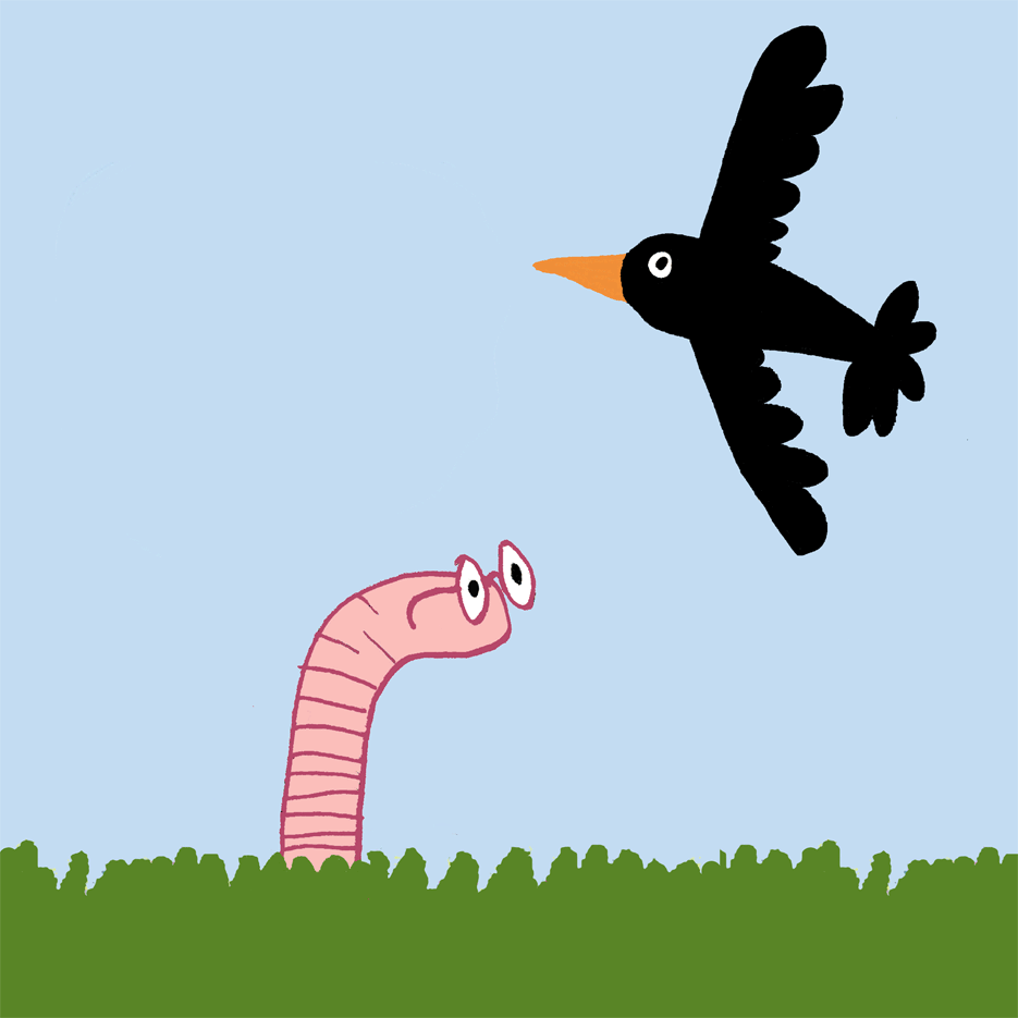James Vinciguerra: Worm & Bird