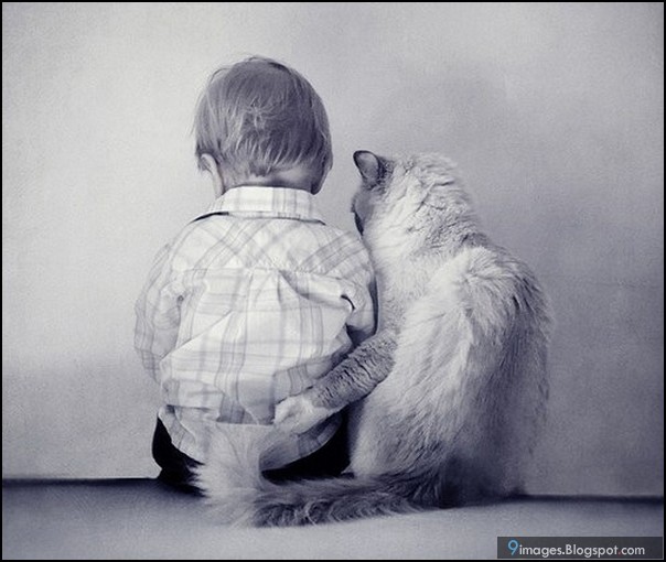 มีอีกไหม?? เอามาโชว์กัน !! เมี๊ยว..เมี๊ยว..แมวน้อยน่ารัก | หน้า 270 ...