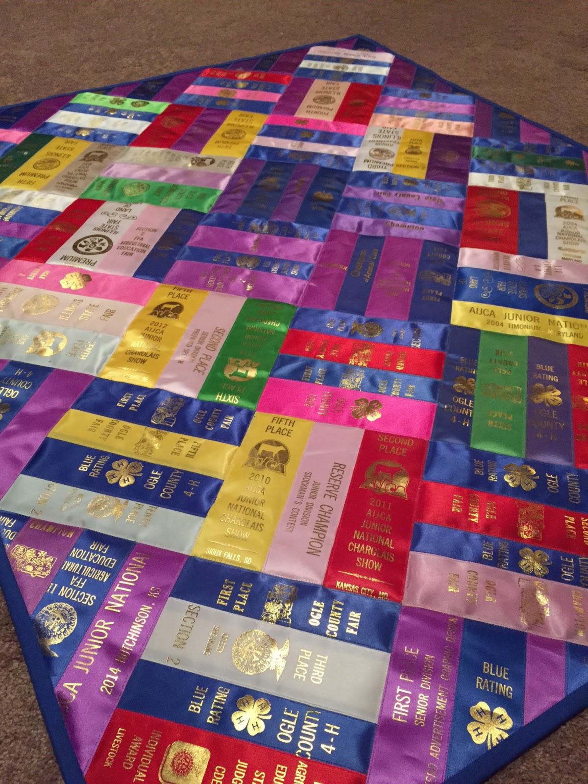 Carrie On The Prairie: Emily's Ribbon Quilt