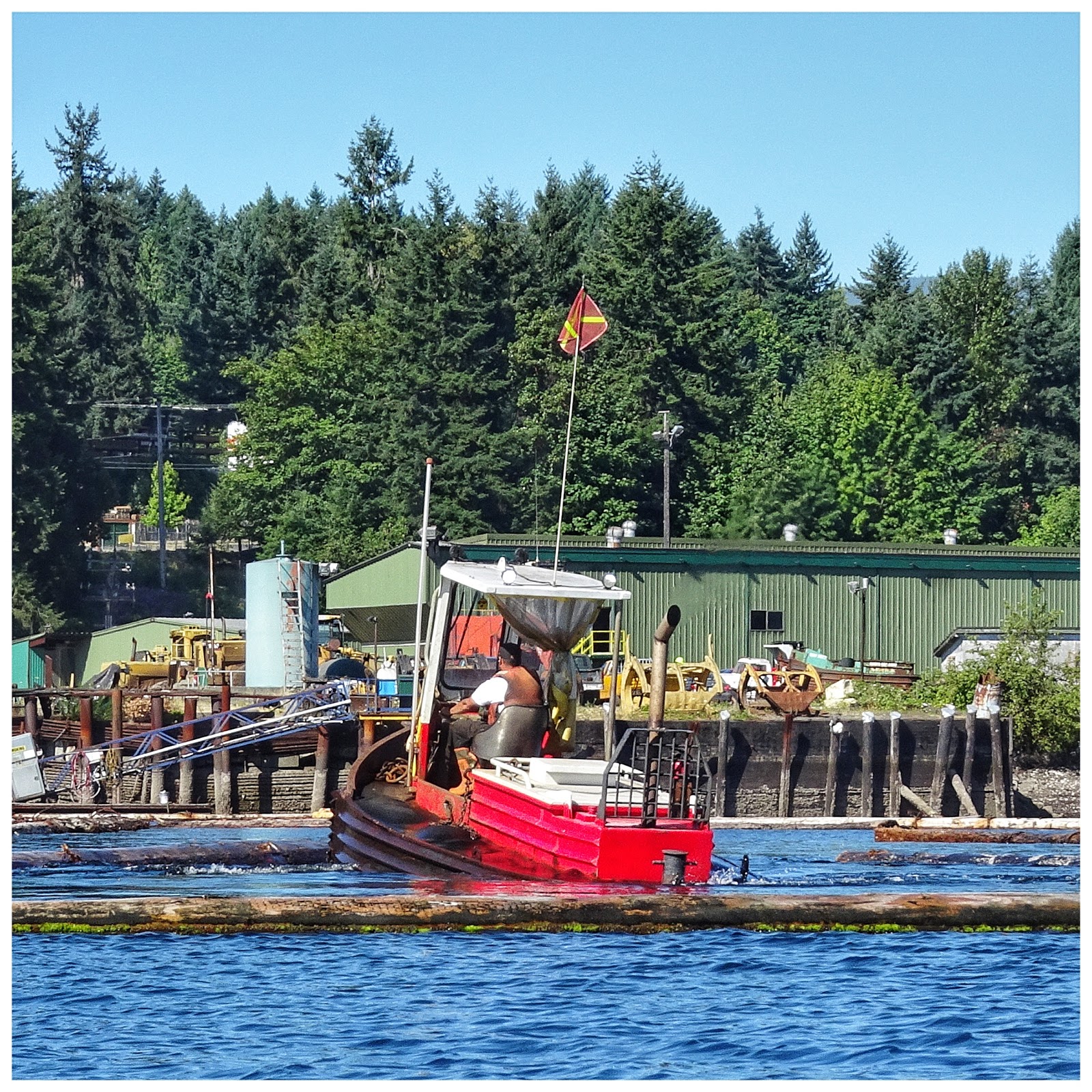 Vancouver Island in Pictures: Ladysmith - Kayaking, Boom Boats, Log Booms