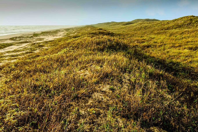 Excursionistas2: Beachcomber’s Paradise