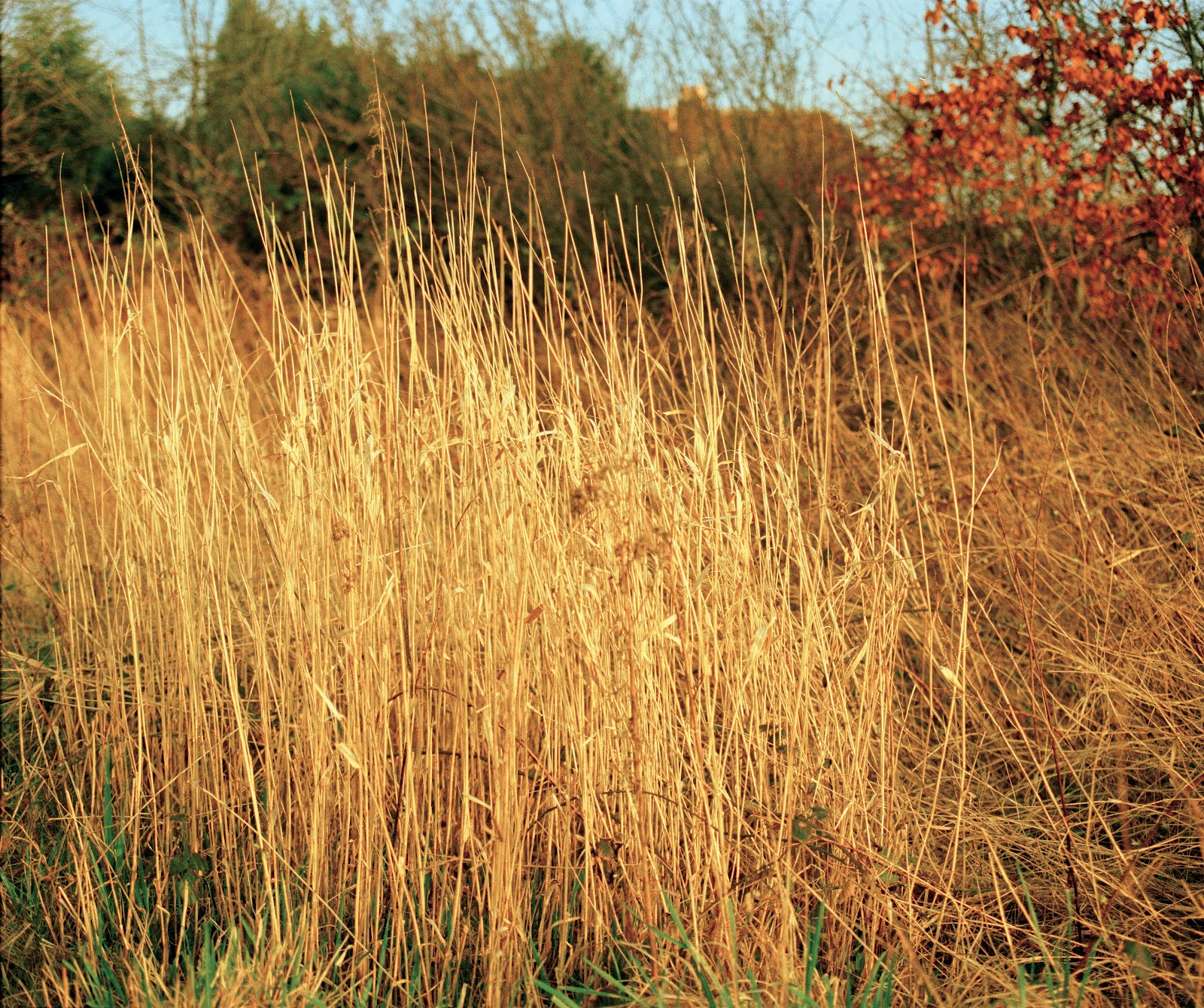 Shutter and Apertures: In touch with nature... some what.