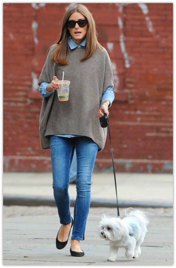 Dog Walking in Style