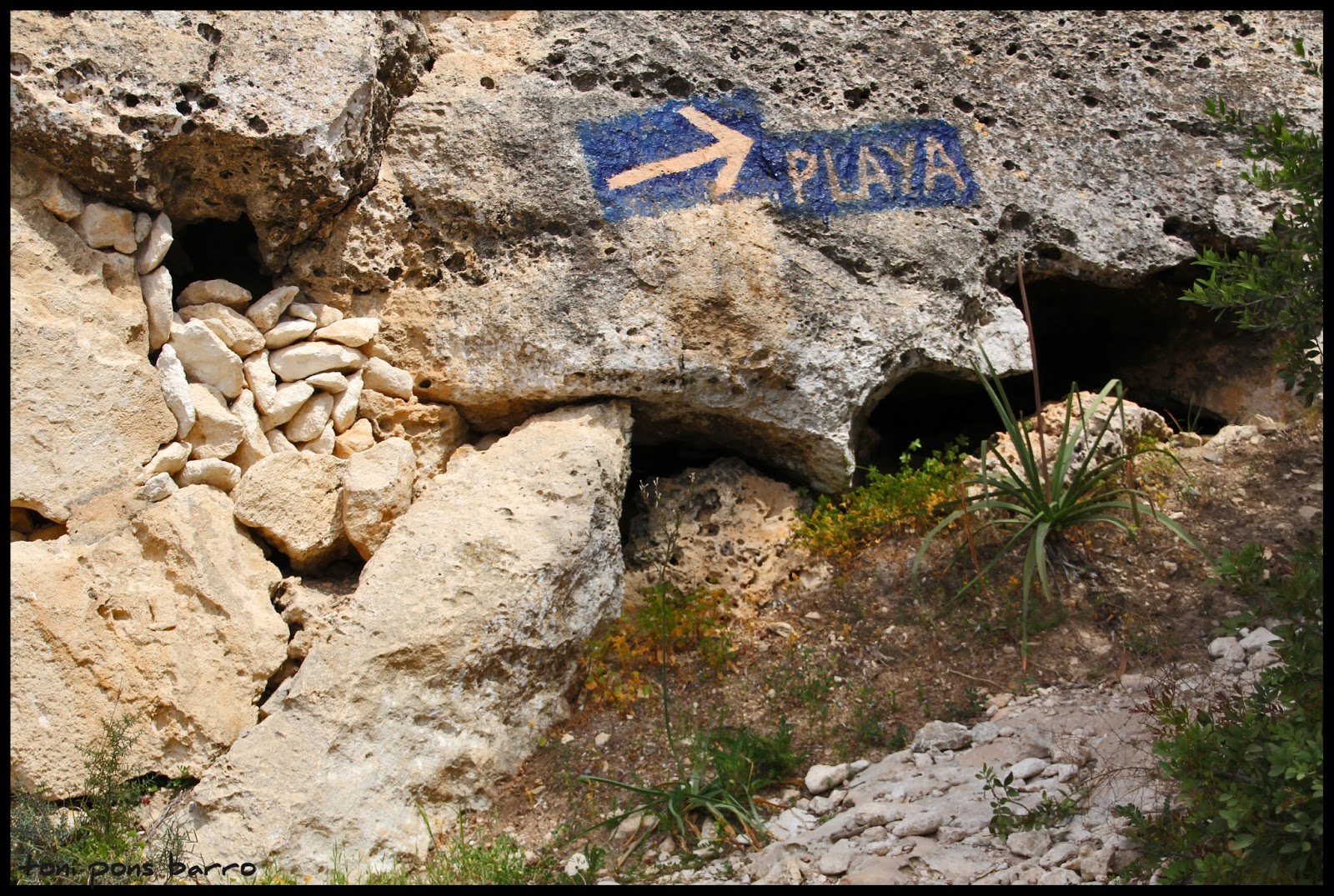 -MENORCA-: Cales Coves.