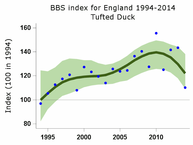 TrogTrogBlog: Bird of the week - Tufted duck