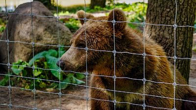 Photography by Richard Bublitz, New Berlin, Wisconsin: A Brief History ...