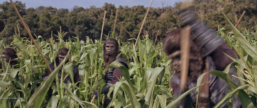 Archives Of The Apes: Planet Of The Apes (1968): The Hunt