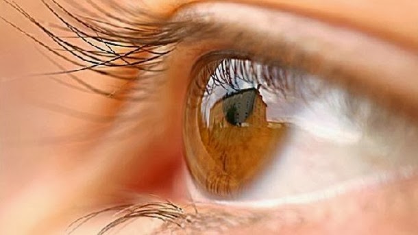 DISTRIBUIDORA OFTÁLMICA VERING : Omega-3 suplementos pueden reducir los ...