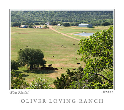 Elsa's Stuff and Nonsense: Oliver Loving