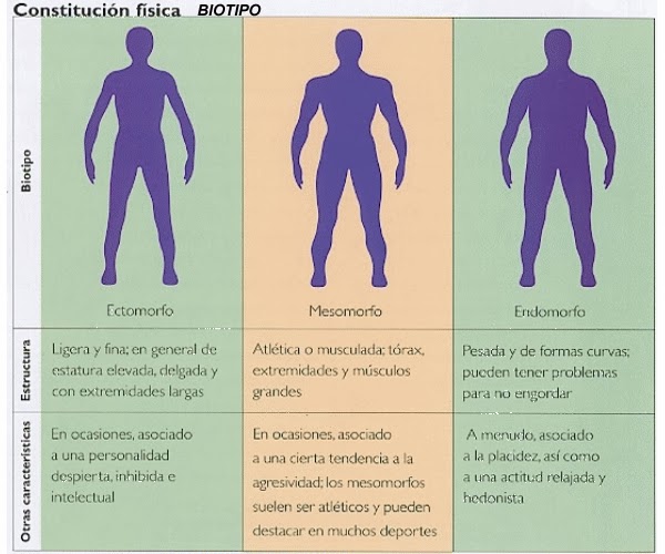 Nino Salvatore : Articulo de la semana!!! los BIOTIPOS