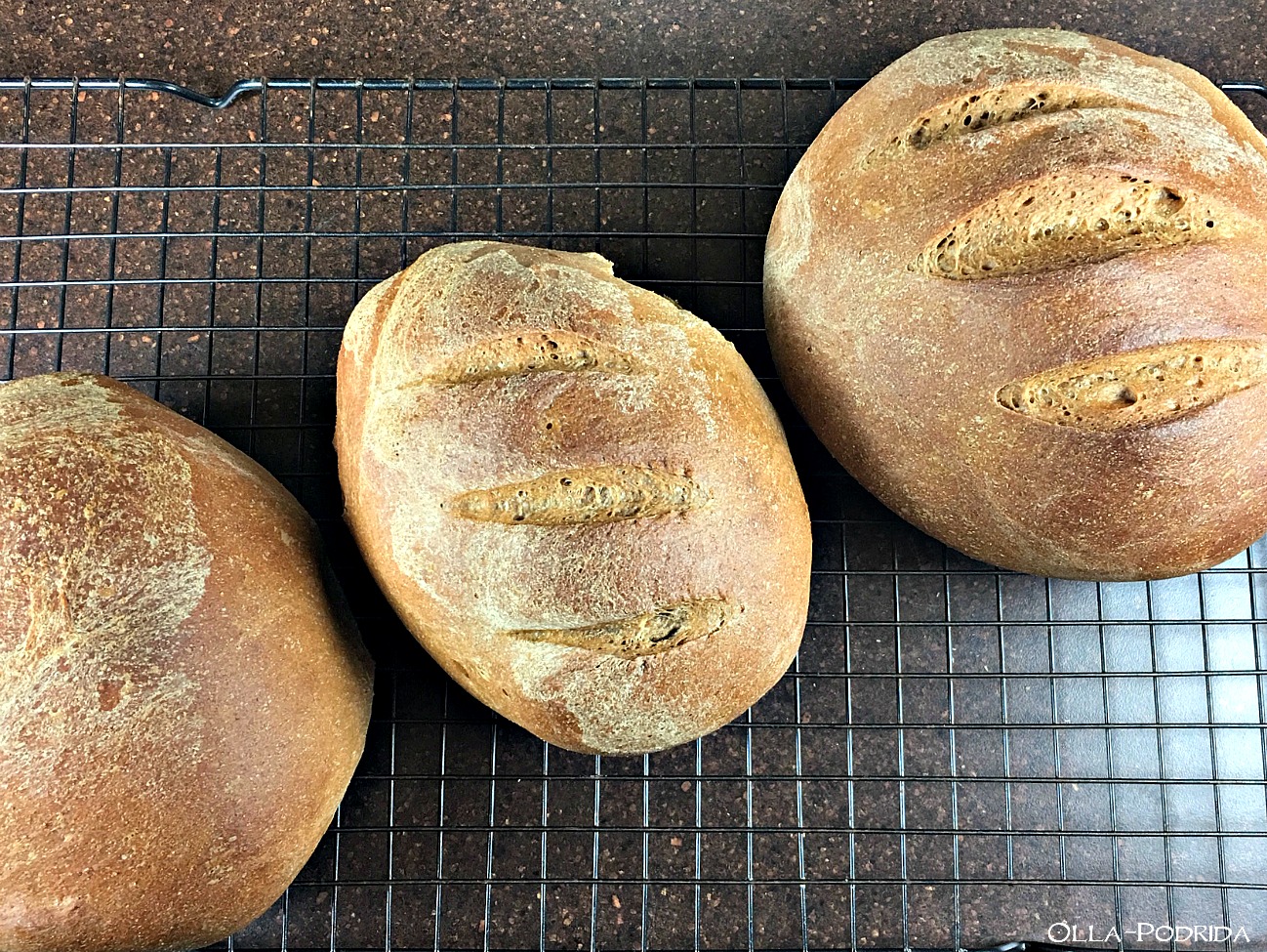 Olla-Podrida: Outback Steakhouse Bread ABM Copycat