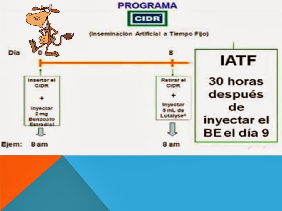 Tuwün Capacitaciones EIRL: IATF PROTOCOLO
