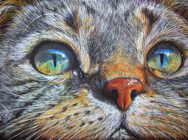 20+ Beautiful Realistic Cat Drawings To inspire you