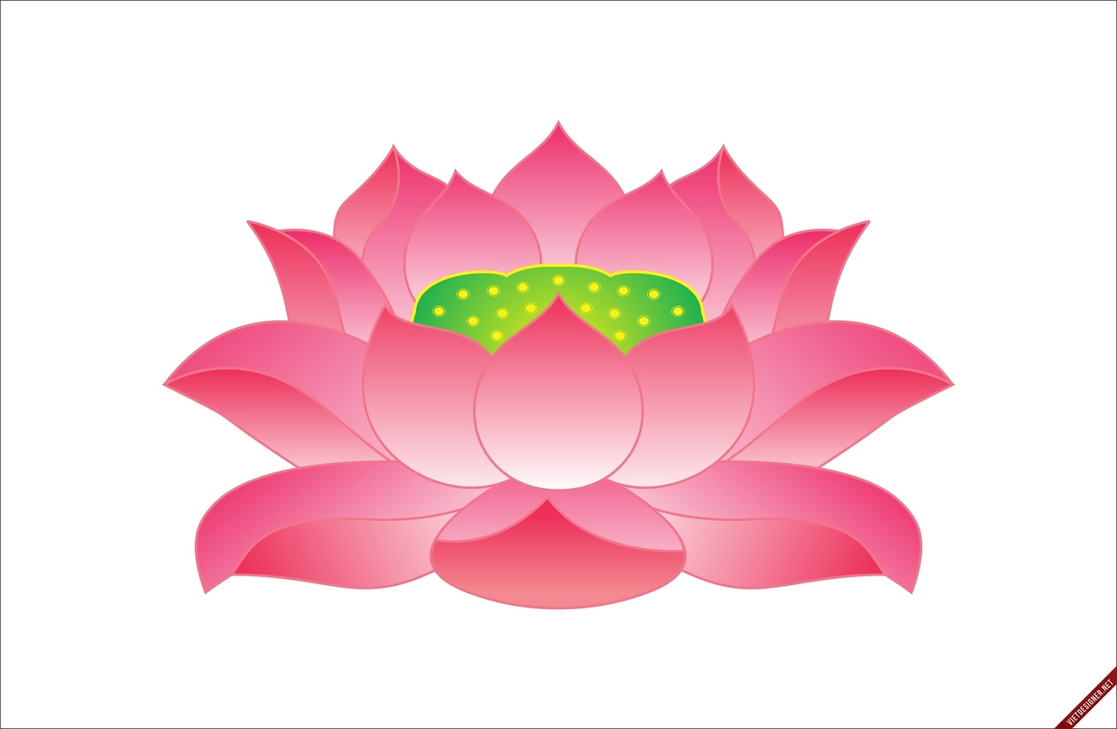 vietsinhvienit: vector hoa sen