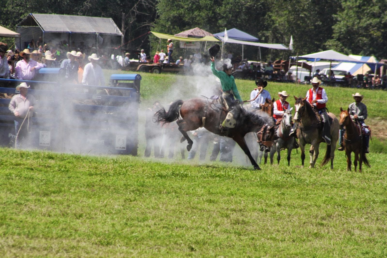 PairADice Mules: Random Chuckwagon Championship Pictures