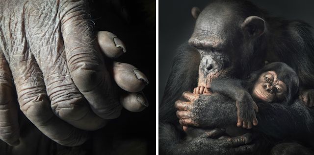 Oh, by the way...: BEAUTY: Photography--Tim Flach