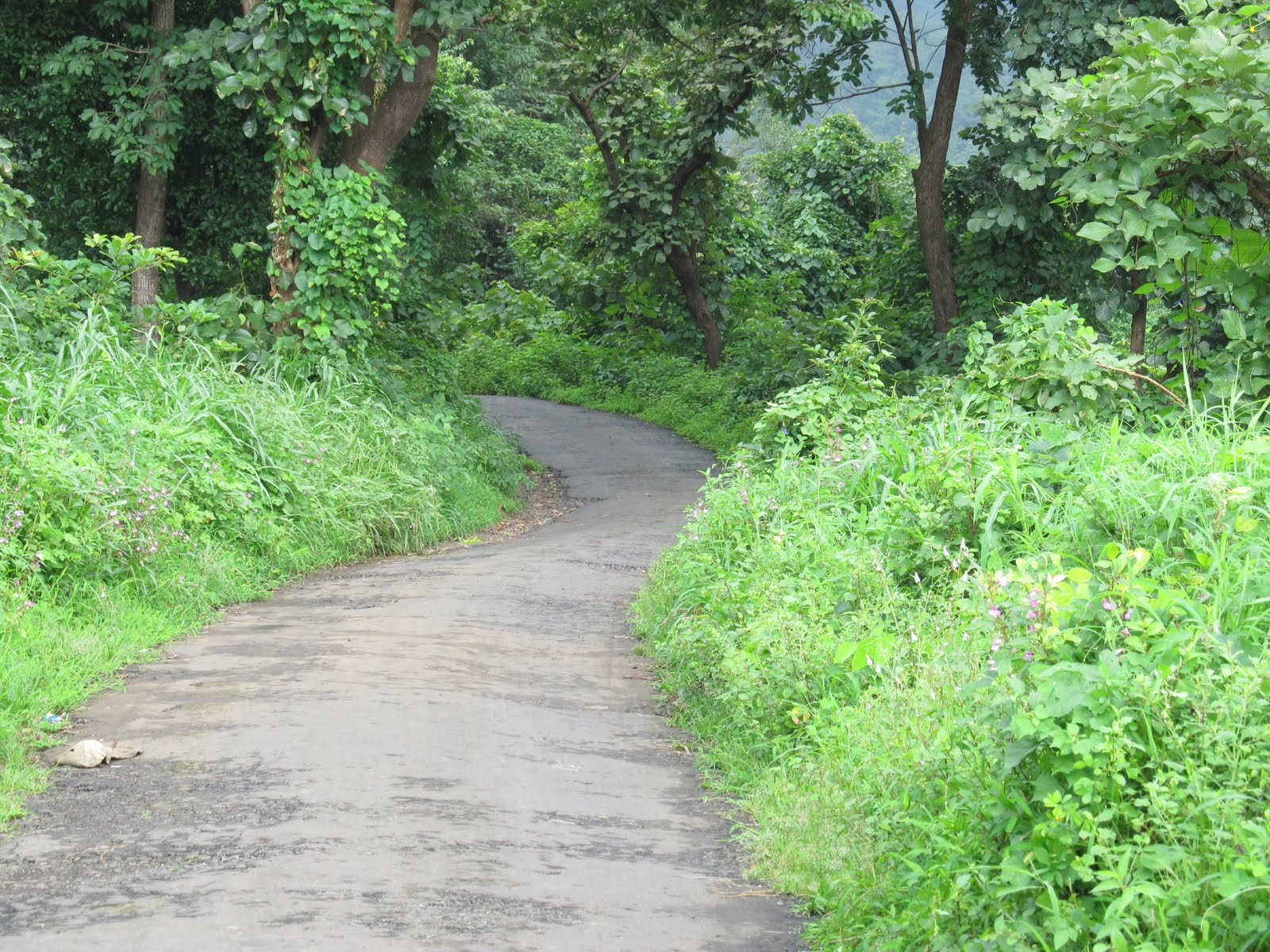 photos of trek trip: Mahuli fort
