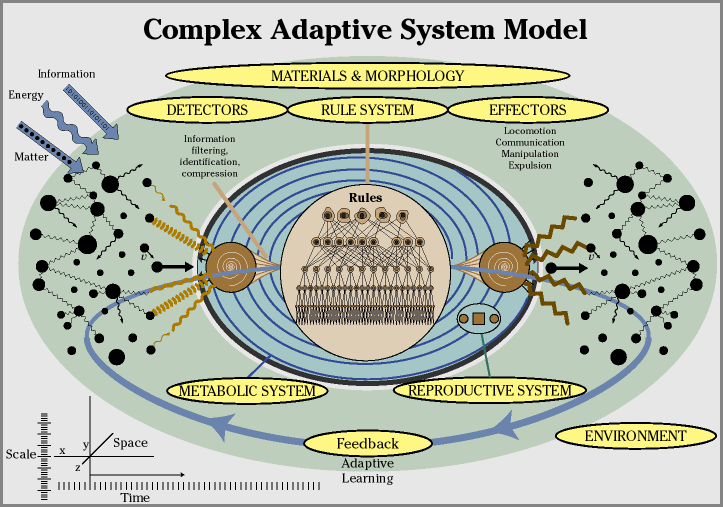 Global Dynamics Processes: the Pattern which Connects from KaliYuga to ...