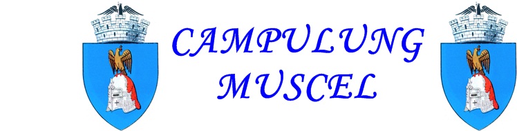 Campulung Muscel: TURISM