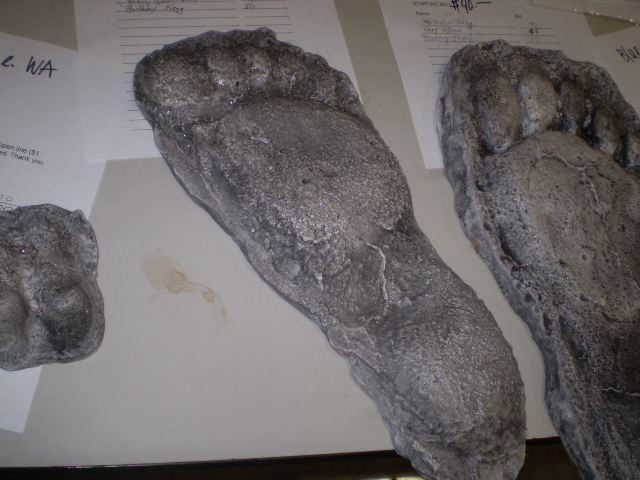 Sasquatch Tracks: Pictures of Sasquatch Tracks and Casts