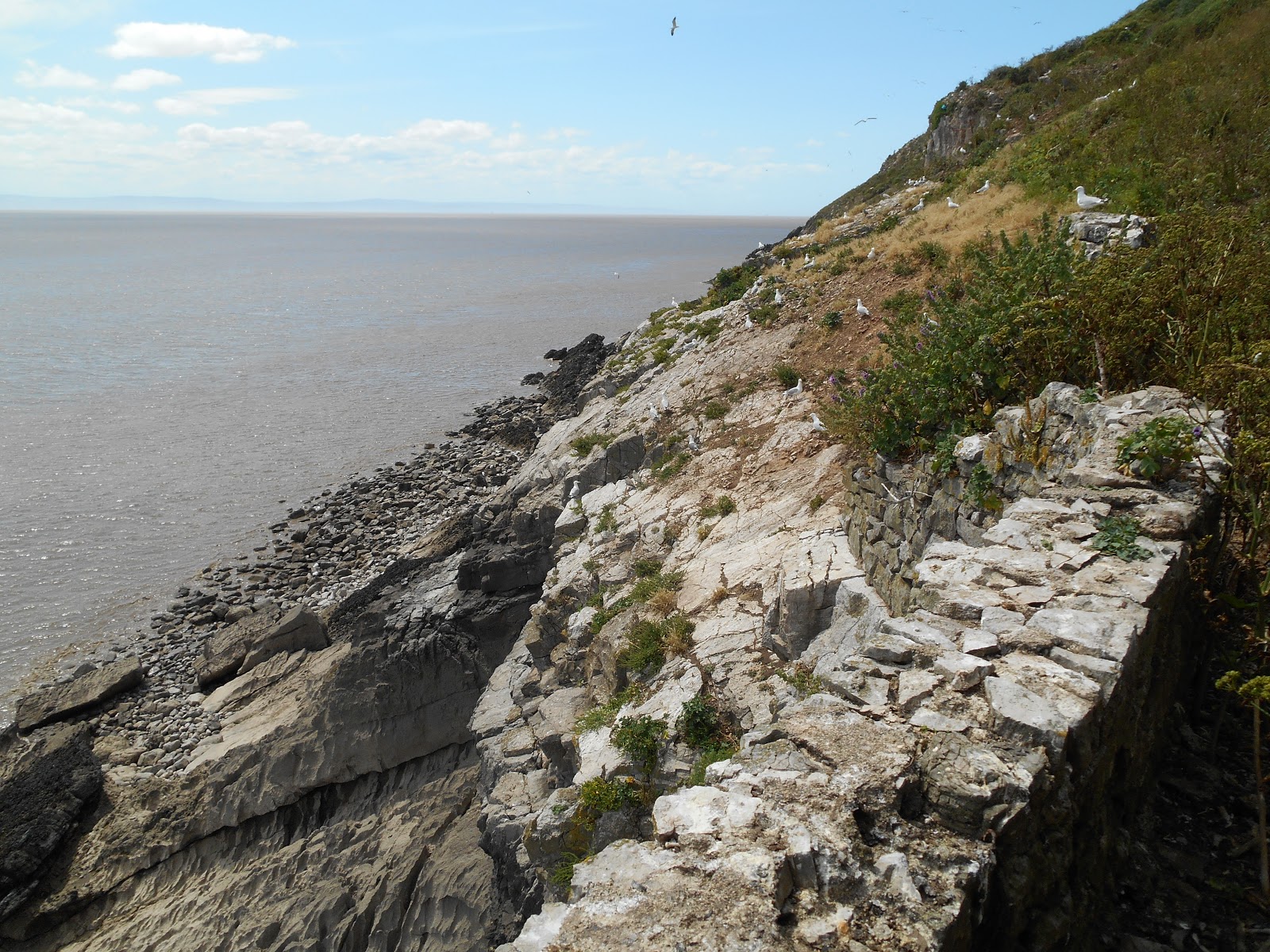 A lifetime of Islands: Island 66 - Steep Holm, Somerset