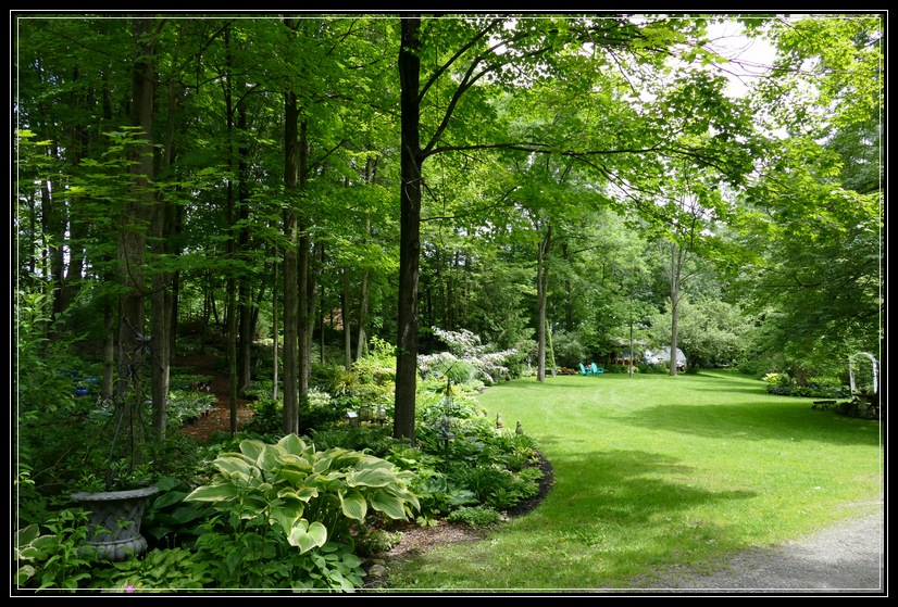 Inspiration for Your Garden and Medicine for Your Soul at Shades of ...