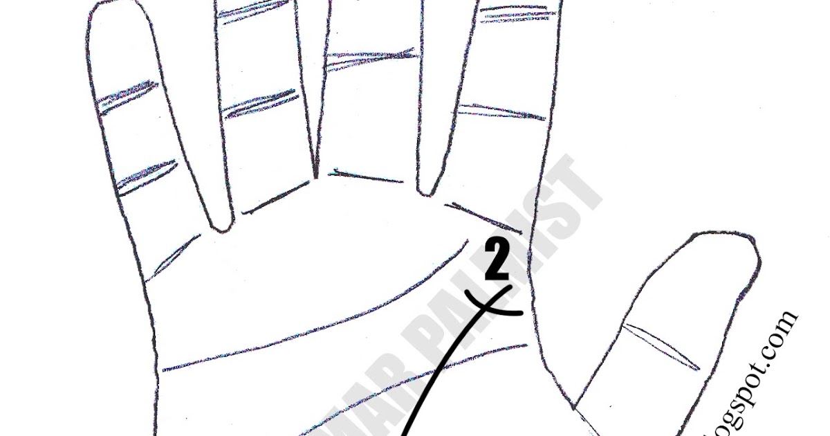 Guru Parvat Se Jeevan Rekha Ka Shuru Hona - Hast Rekha Gyan ~ INDIAN ...