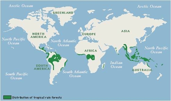 Climatic Region Of The World Tropical Zone Equatorial Climate climatic-region-of-the-world-tropical-zone-equatorial-climate