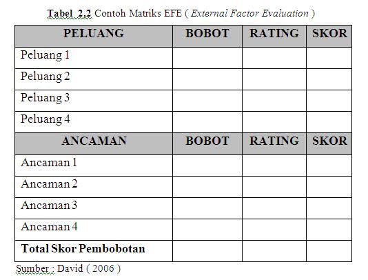 MATRIKS EFE ( EXTERNAL FACTOR EVALUATION ) ~ ADERA