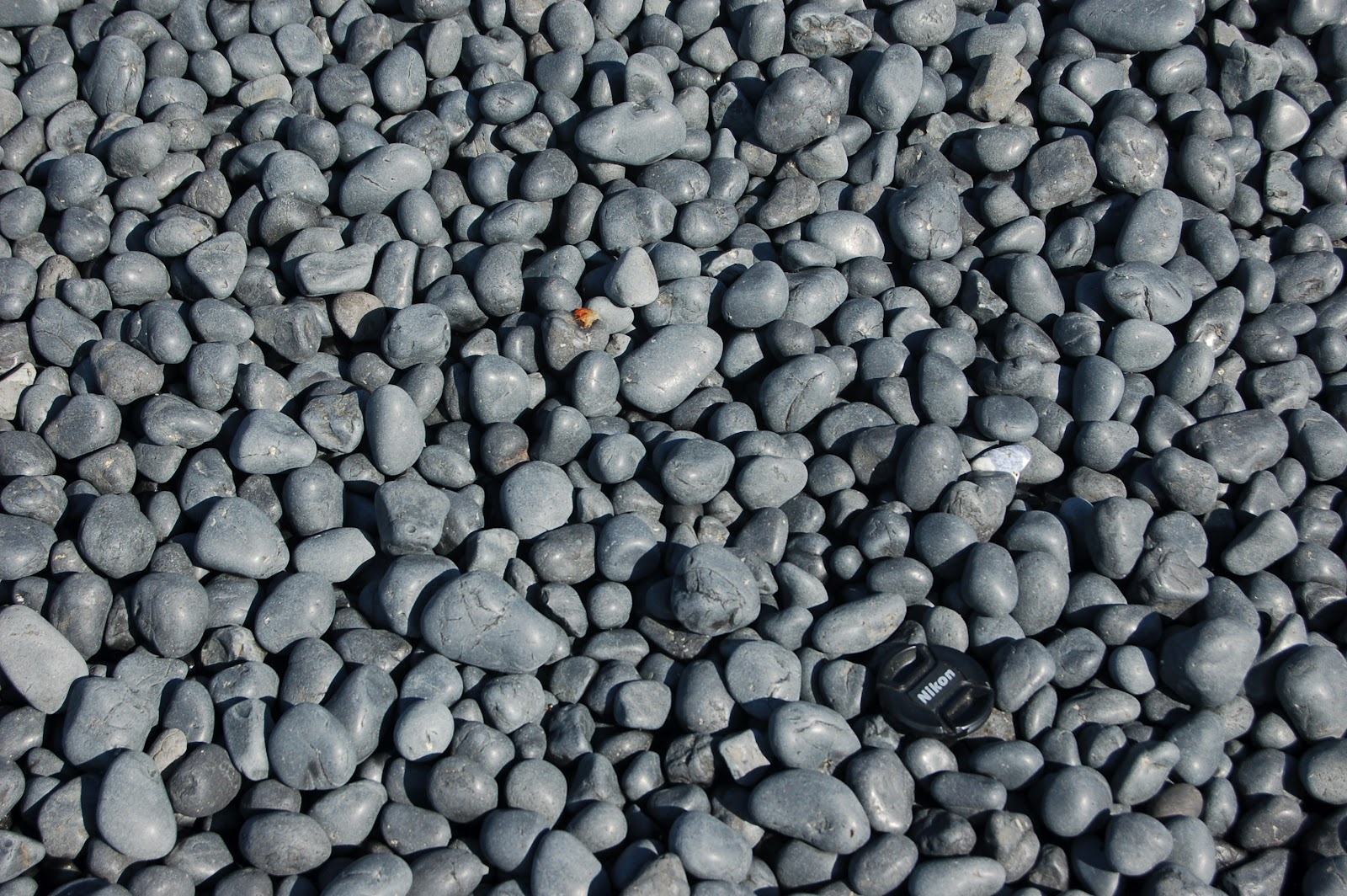 Outside The Interzone: OMN Willamette Valley Geology Presentation Part ...