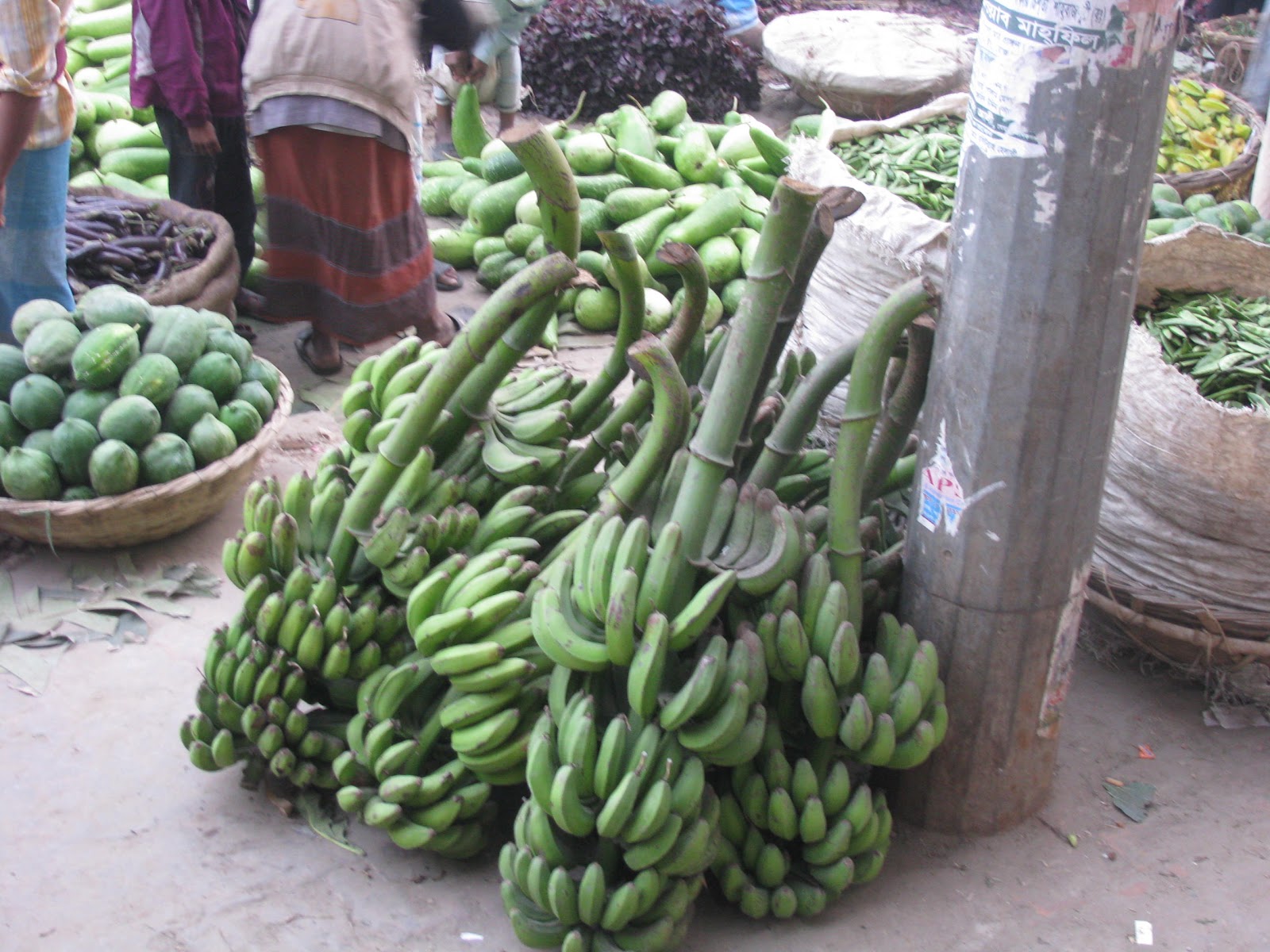 Bound for Bangladesh and the UAE: Feb 21 - Vegetable market photos