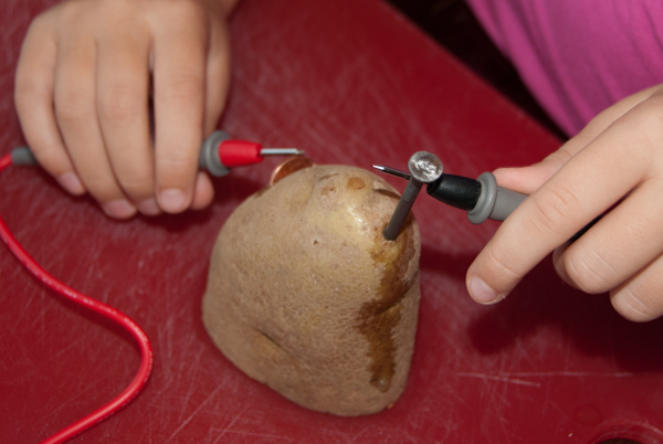 Educating Casia: Potato Battery