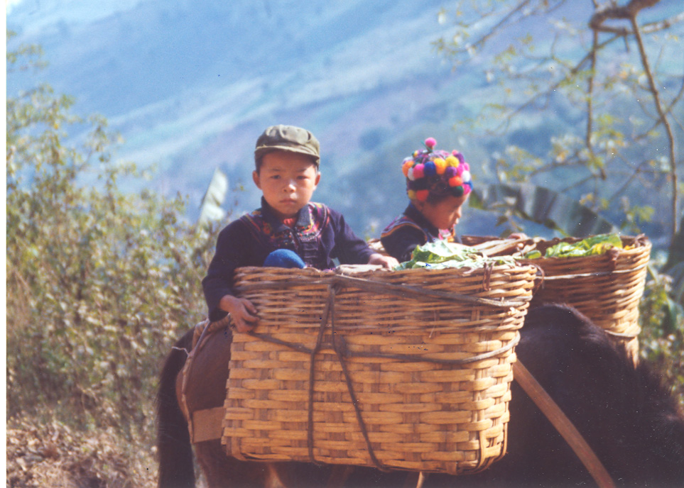 Christ the Tao: Alexandre de Rhodes in Vietnam