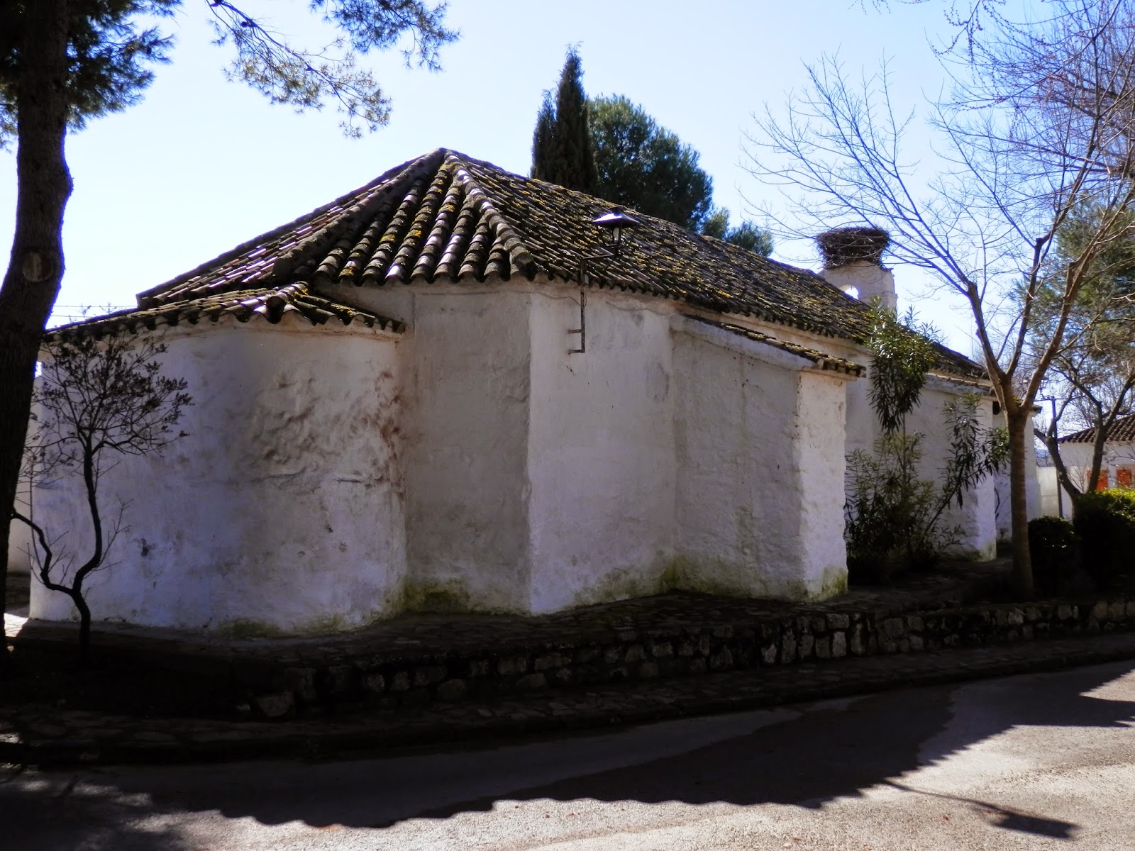 EL SAYON: EN LA FESTIVIDAD DE SAN MARCOS: PERALVILLO