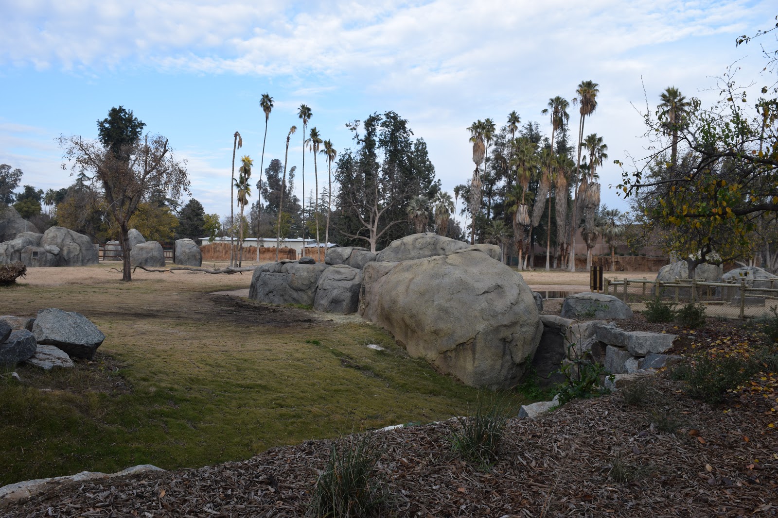 Thoughts on Chaffee Zoo Expansion and Roeding Park (with pictures ...