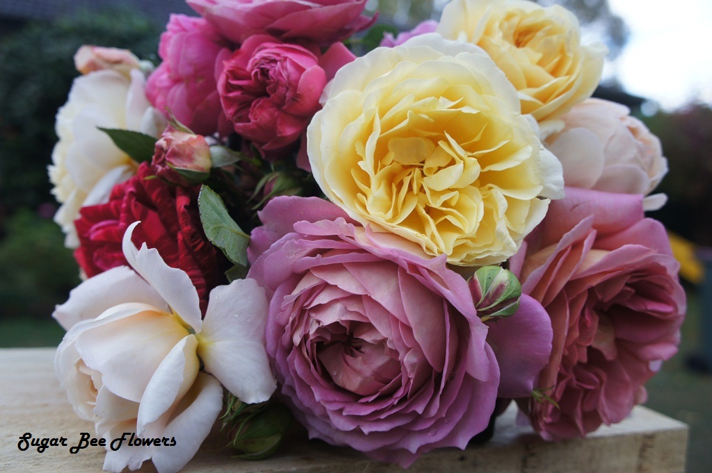 Sugar Bee Flowers: Old English rose bouquet