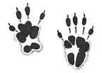 Cottage Country Pest Control: Animal Tracks
