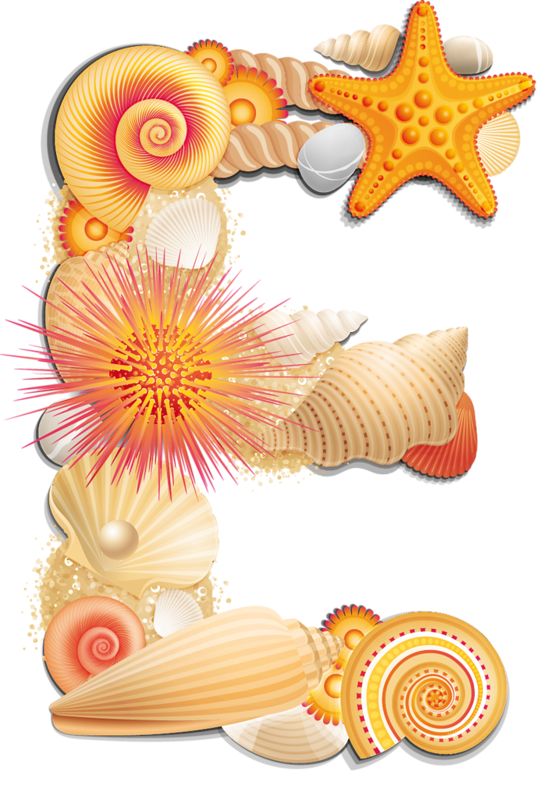 Escuela infantil castillo de Blanca: ALFABETO CON CONCHAS