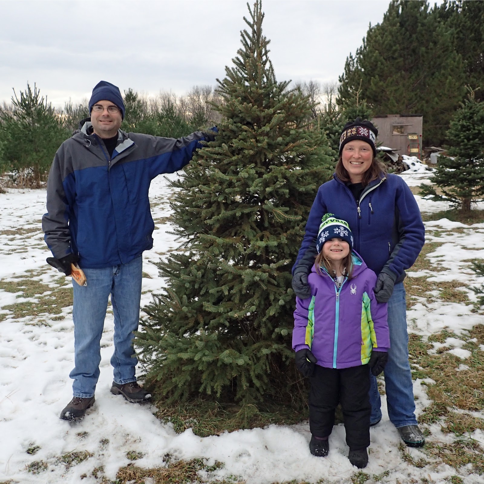 The Continuing Adventures of Eric, Noelle and Sierra: The Grunwald ...