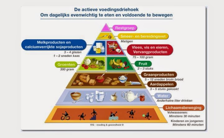 Ilse Nimmegeers : Voeding / warenkennis : De actieve voedingsdriehoek