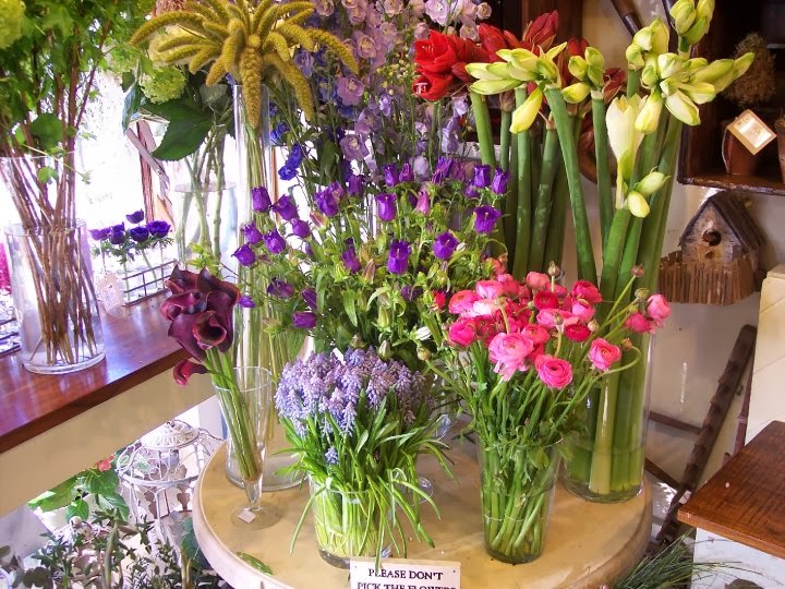 The Flower Shop's Blog: Spring is springing...