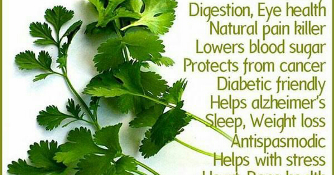 Health Benefits Of Cilantro