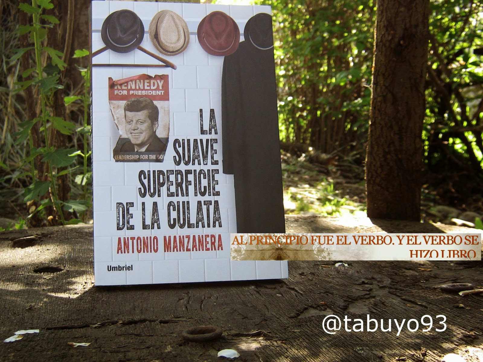 AL PRINCIPIO FUE EL VERBO Y EL VERBO SE HIZO LIBRO: LA SUAVE SUPERFICIE ...