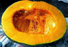 TU SALUD Y LA NUTRICIÓN.: EL ZAPALLO