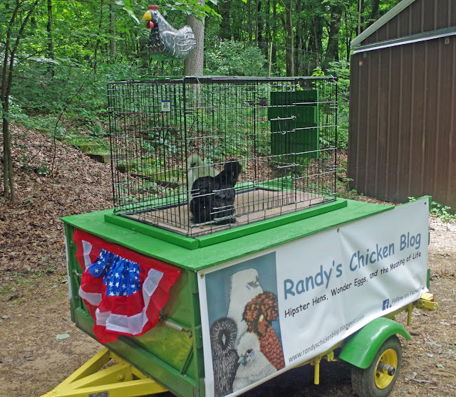 Randy's Chicken Blog: Afton, Minnesota: A Town! A Parade! A Chicken Float!